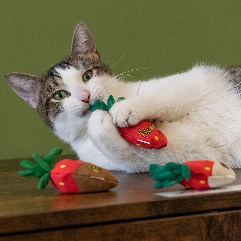 Strawberries 3-pk - Yeowww! Catnip