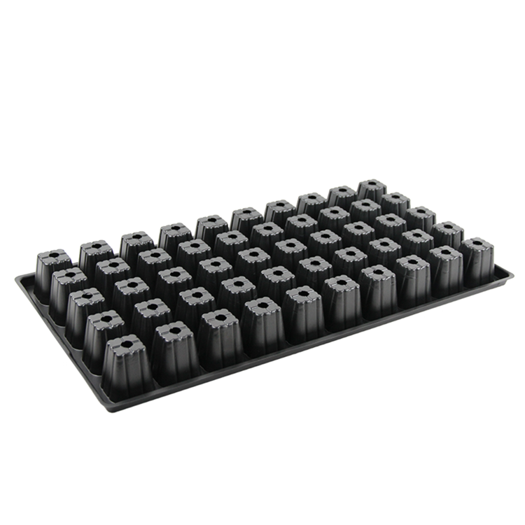 50 CELL SQ PLUG TRAY, (110/CS) - Grower's Nursery Supply