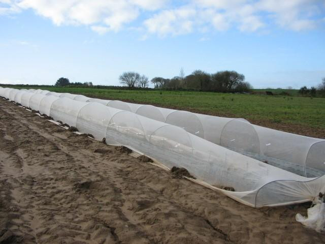 7 X 300' FINE MESH INSECT NETTING