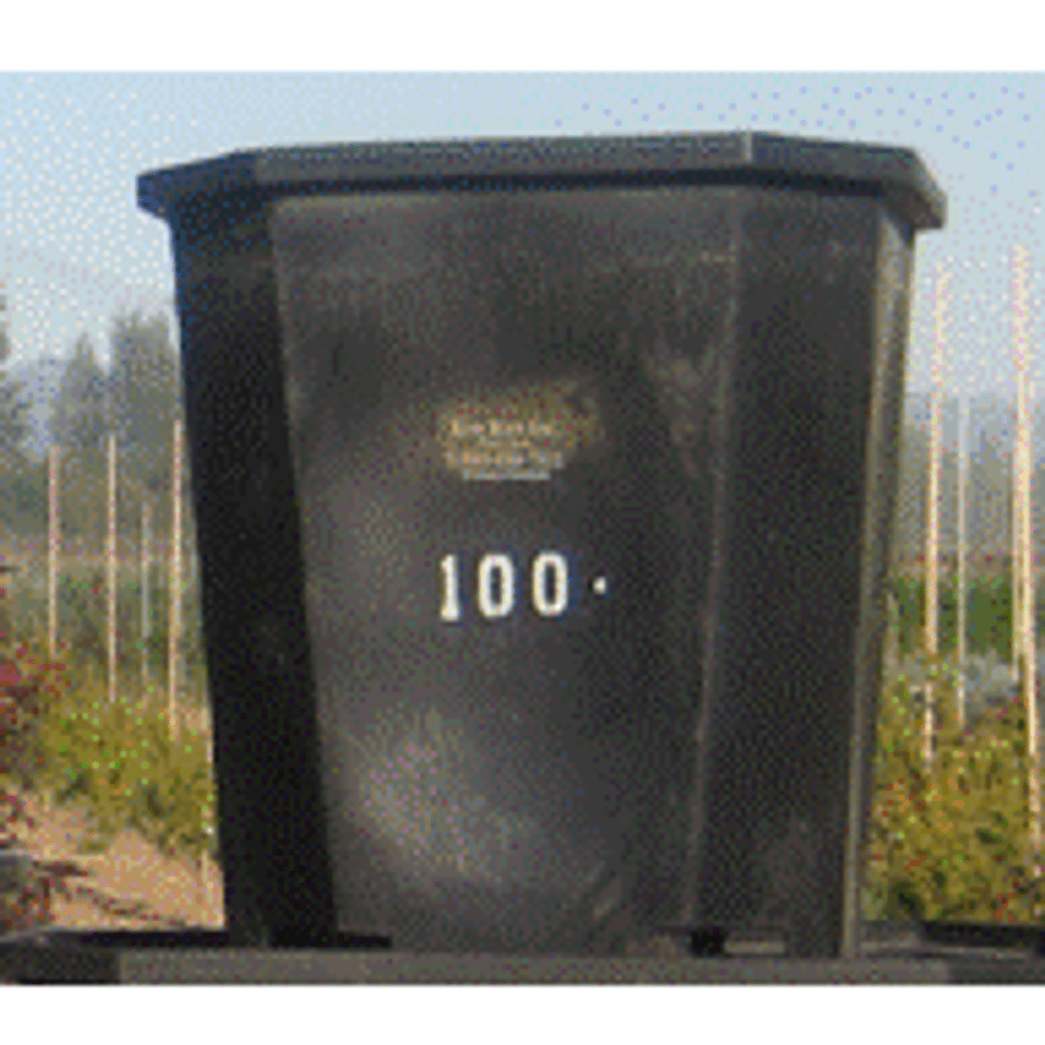 #100 BOX TREE CONTAINER - Grower's Nursery Supply