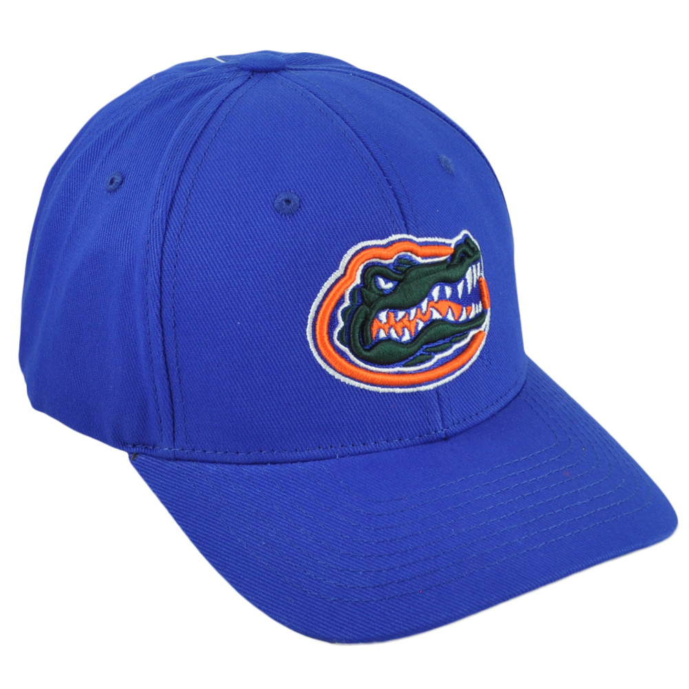 NCAA Florida Gators Structured Royal Curved Bill Adjustable Adults Men ...