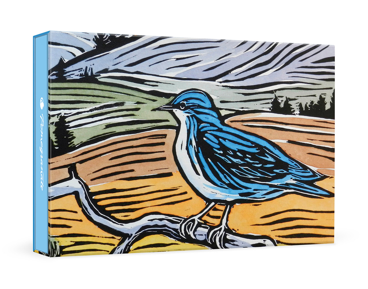 New Style Molly Hashimoto: Mountain Bluebird Small Boxed Cards