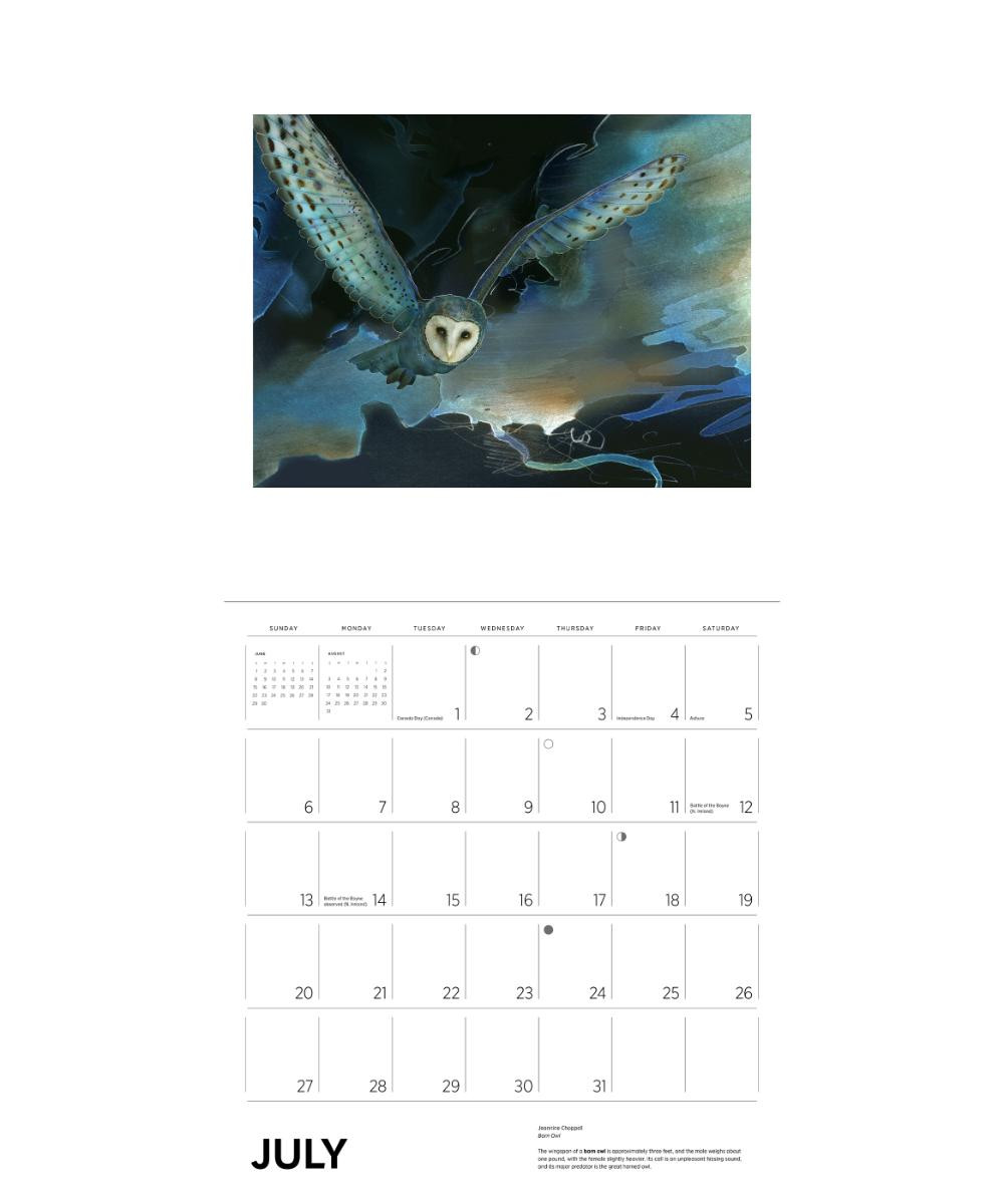 Owls: Jeannine Chappell 2025 Wall Calendar - Pen Paper Gift