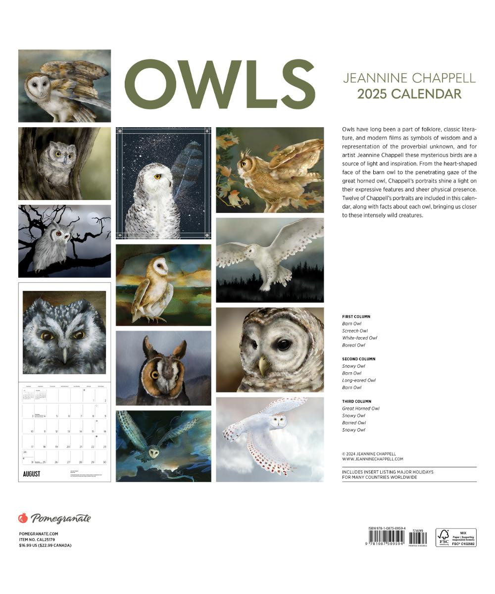 Owls: Jeannine Chappell 2025 Wall Calendar - Pen Paper Gift