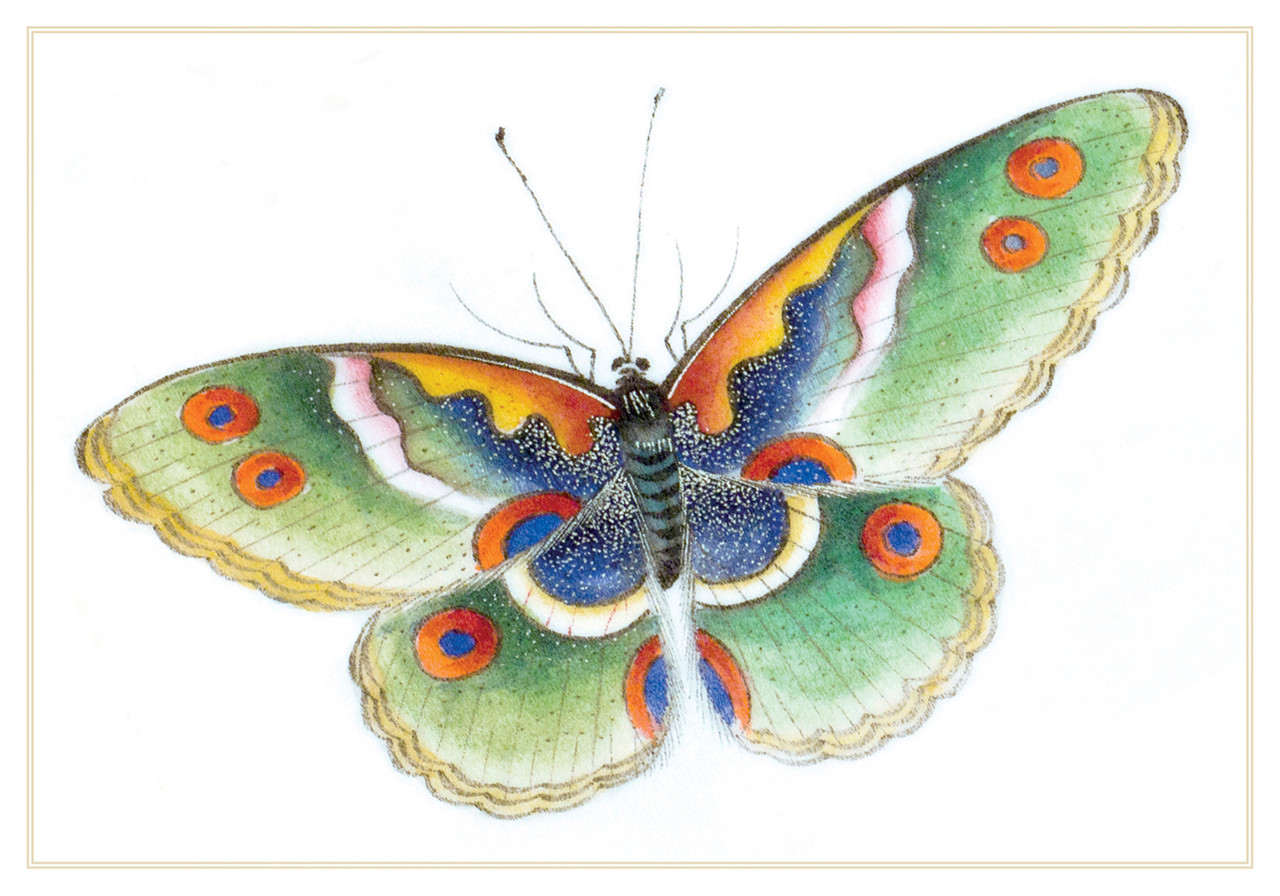 Butterfly Small Boxed Cards - Pen Paper Gift