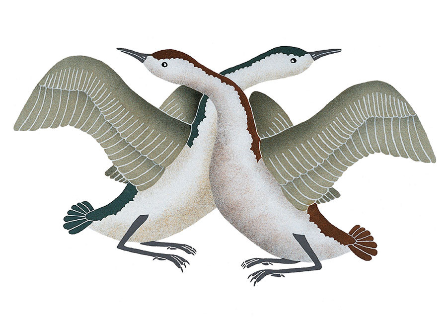 Inuit Art: Birds Book of Postcards - Pen Paper Gift