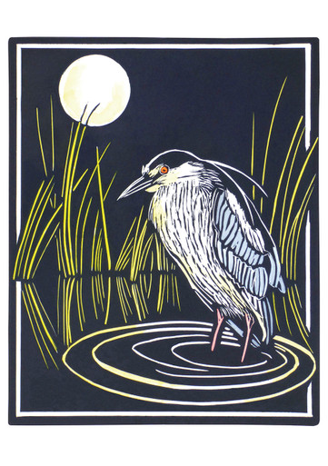 Molly Hashimoto: Black-crowned Night Heron Notecard - Pen Paper Gift