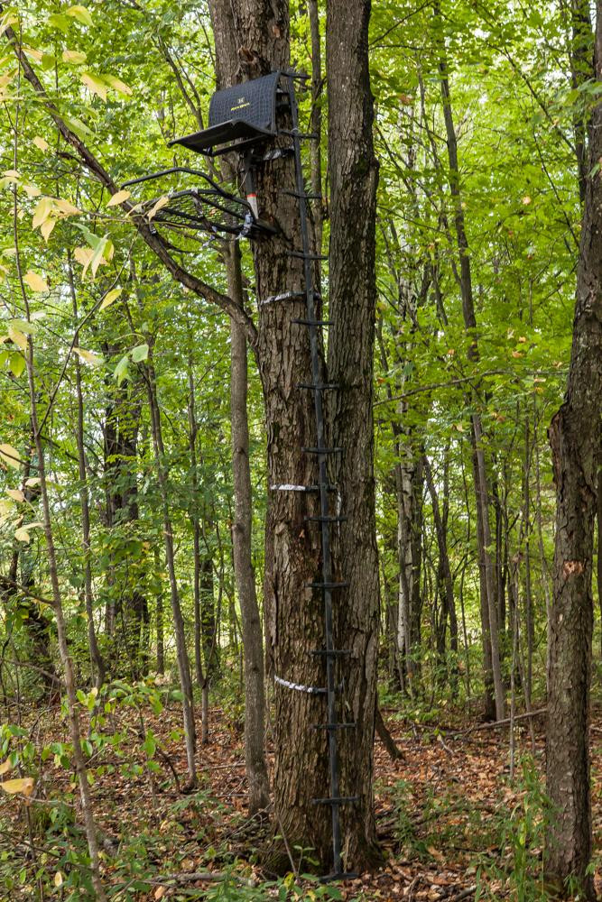 Traction 20' Climbing Stick - Hawk Treestands