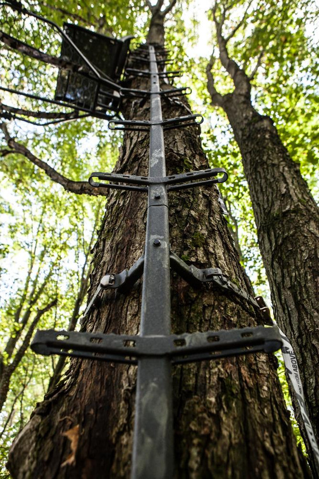 Hawk Traction Climbing Stick 20 Foot Hunting Gear Hawk 20-Foot Traction ...