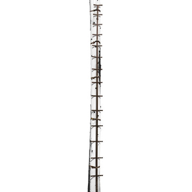 Traction 20' Climbing Stick - Hawk Treestands