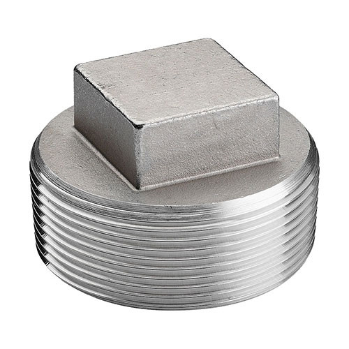 Plug, Class 150, 304 Stainless Steel, Multiple Sizes - Whitehead ...