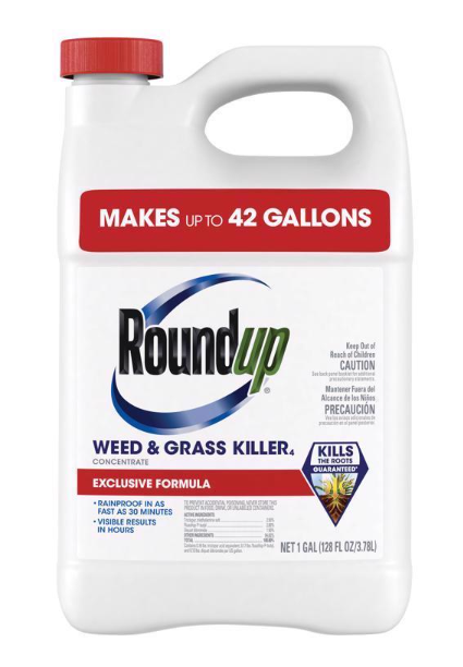 Roundup Weed and Grass Killer Concentrate 1 gal - No. 5376804 ...