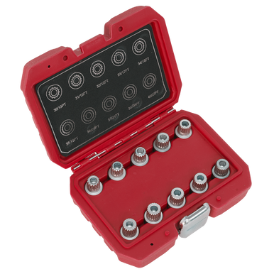 Locking Wheel Nut Key Set 10pc | SX208 | Sealey
