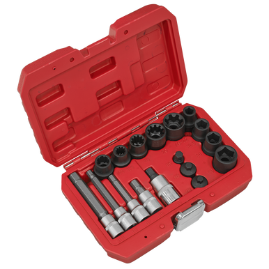 Brake Caliper Socket Set 17pc | VS0465 | Sealey