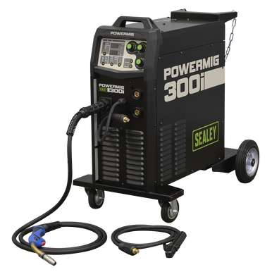 300A Professional Gas/Gasless MIG/MMA/TIG Inverter Welder ...
