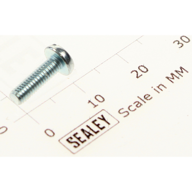 Screw [GA40/DA43] - SEALEY