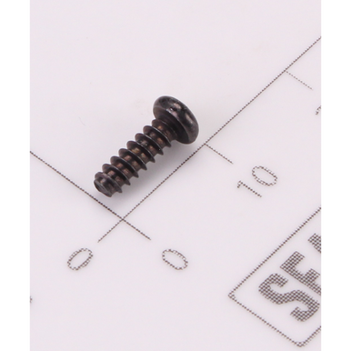 Casing Screw 2.5x10 [LED1801.06] - SEALEY
