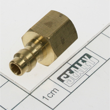 Brass bung (cylinder leakage) [VSE3156.V3-BB] - SEALEY