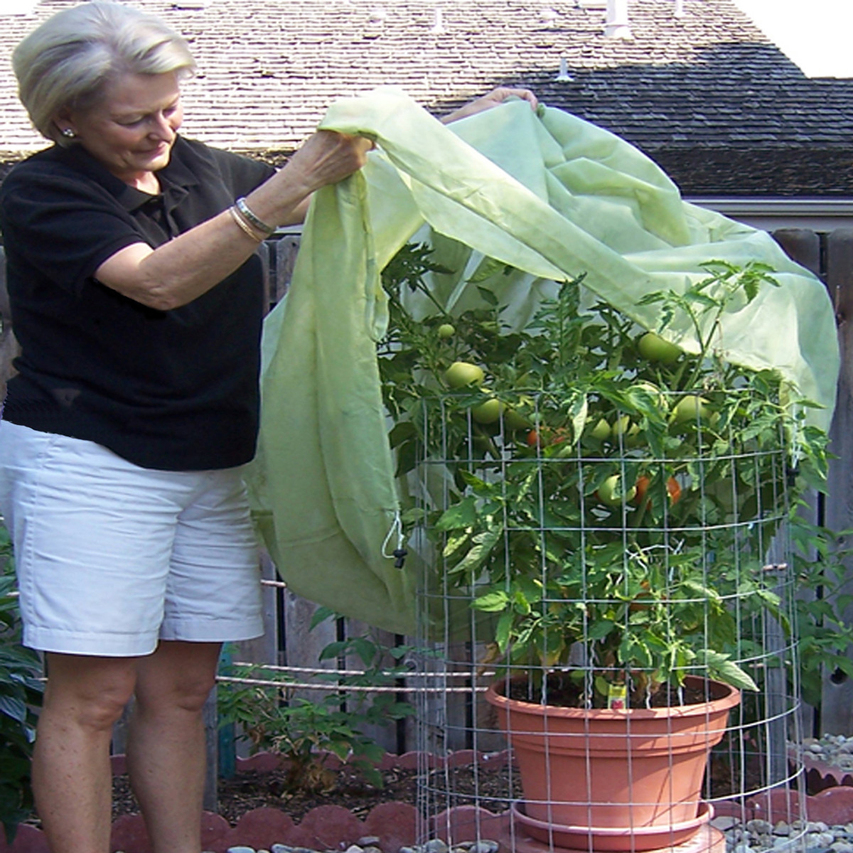 Frost Protek Tomato Cover Protect Tomatoes From Weather And Pests