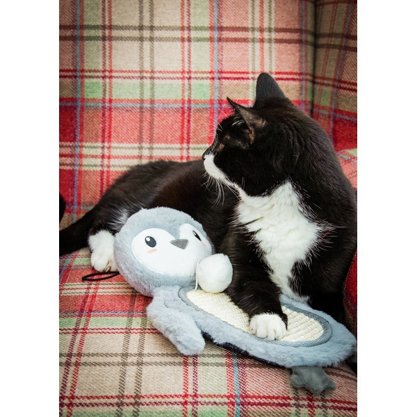 Rosewood Mr Poppy Penguin - Pedigree Wholesale Ltd