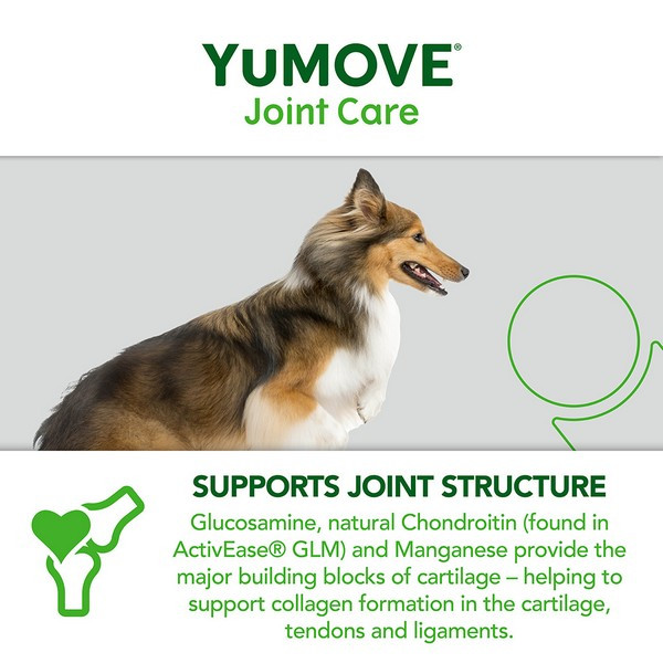 YuMOVE Joint Care for Adult Dogs | 60 pack - Pedigree Wholesale Ltd