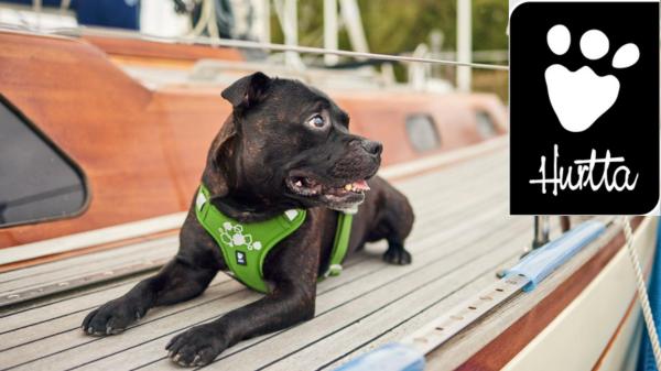 The Wait is Over - Hurtta Spring/Summer 2025 is Here! - Pedigree ...
