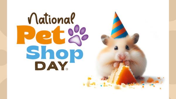 More than just a store: National Pet Shop Day to celebrate services and ...