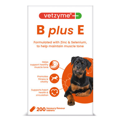 Vetzyme B and E Tablets (200Tabs) - Pedigree Wholesale Ltd