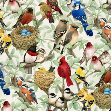 Beautiful Birds | EE Schenck Company