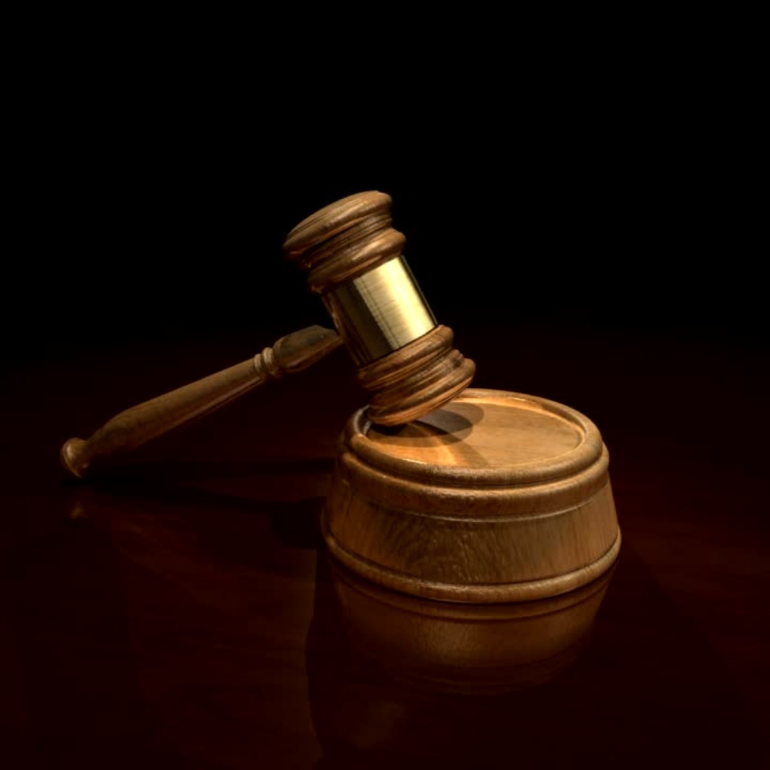 The GREAT BOARD AUCTION is on! - The Mountain Garage