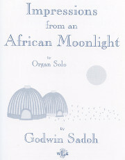 Godwin Sadoh, Impressions from and African Moonlight