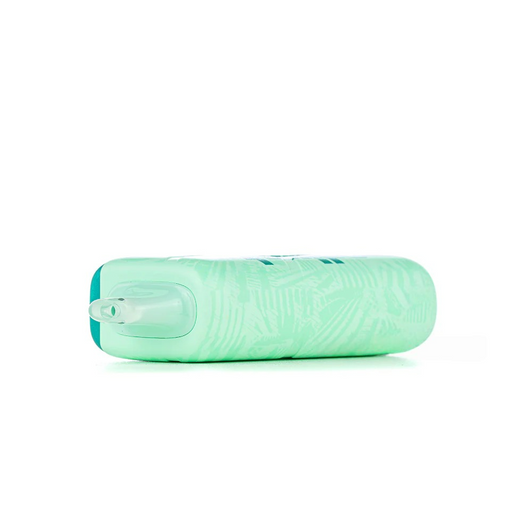 Disposables | Premium Disposable Vape Online - EcmVape