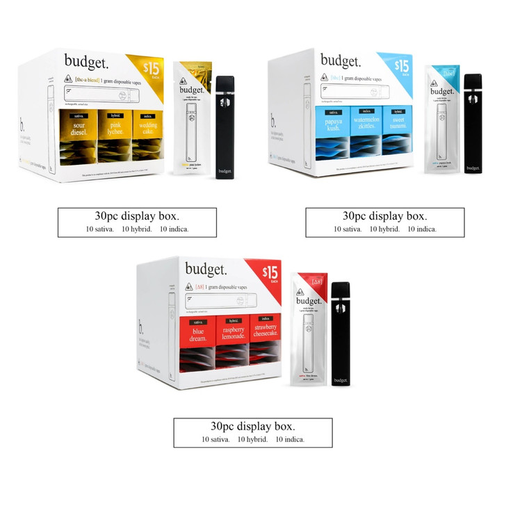 Budget Starter Box 1G Disposable (Pack of 30) | EcmVape