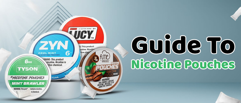 Guide To Nicotine Pouches: FAQs, Storage, Expiration And More - ECMVAPE