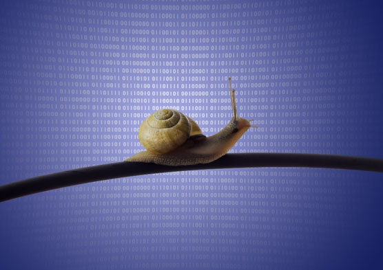 Troubleshooting Network Speed Issues - Cables Plus USA