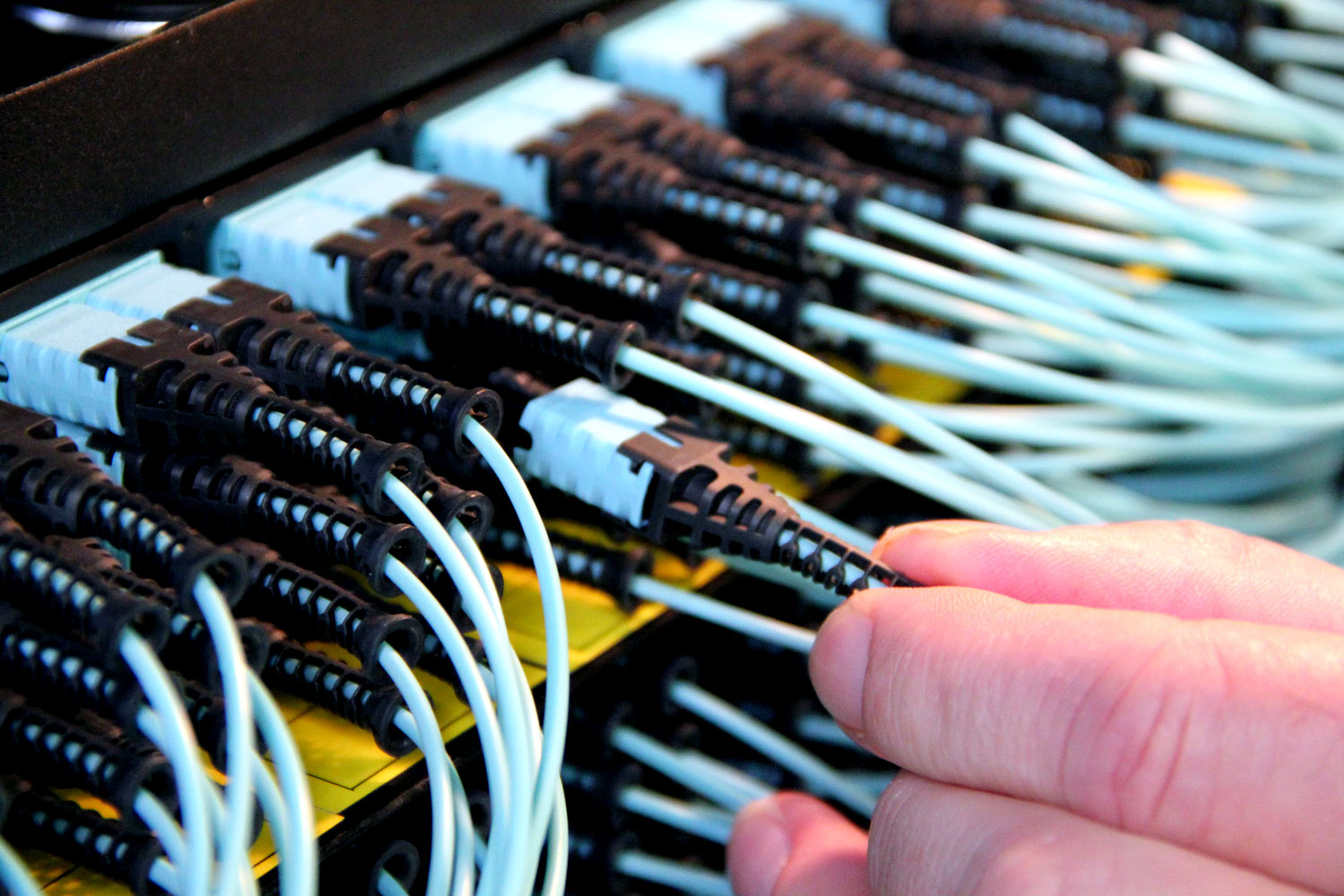 Best MTP/MPO Cables for Switch-to-Switch Connections - Cables Plus USA