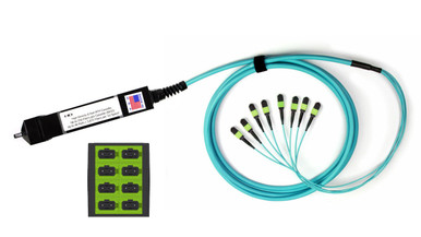 Cassette to MTP Fanout, OM5, 8Port MTP® Elite 24F (Male), 192 Strand