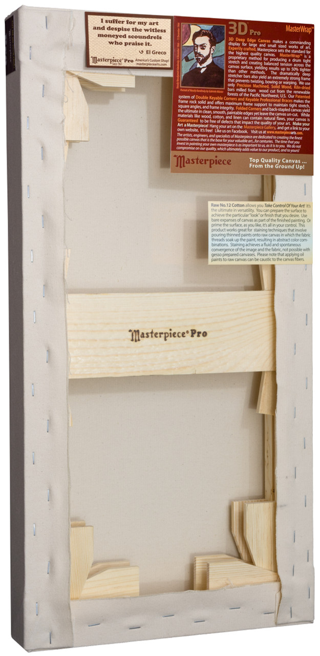 3D Pro 2.5" Deep Artist Canvas 20x24