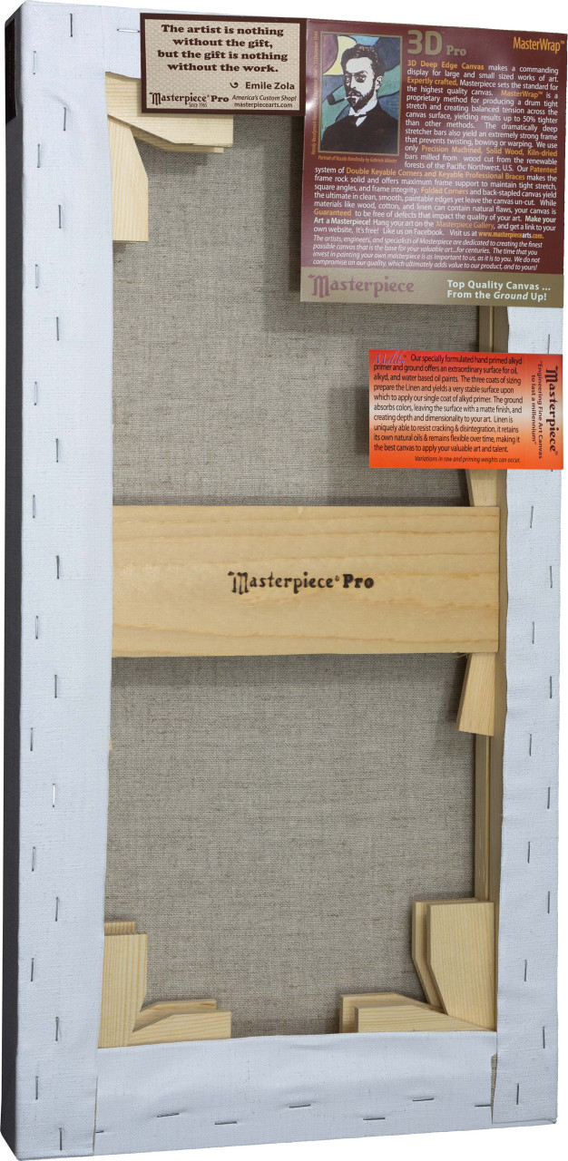 3D Pro 2.5" Deep Artist Canvas 20x24
