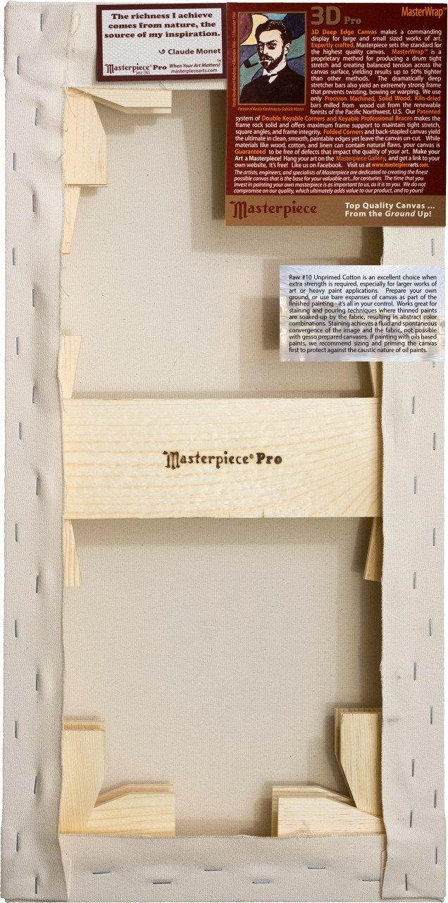 3D Pro 2.5" Deep Artist Canvas 20x24