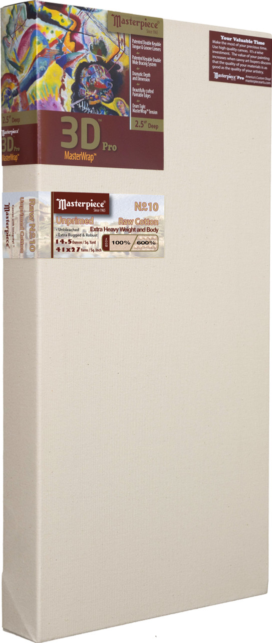 3D Pro 2.5" Deep Artist Canvas 20x30