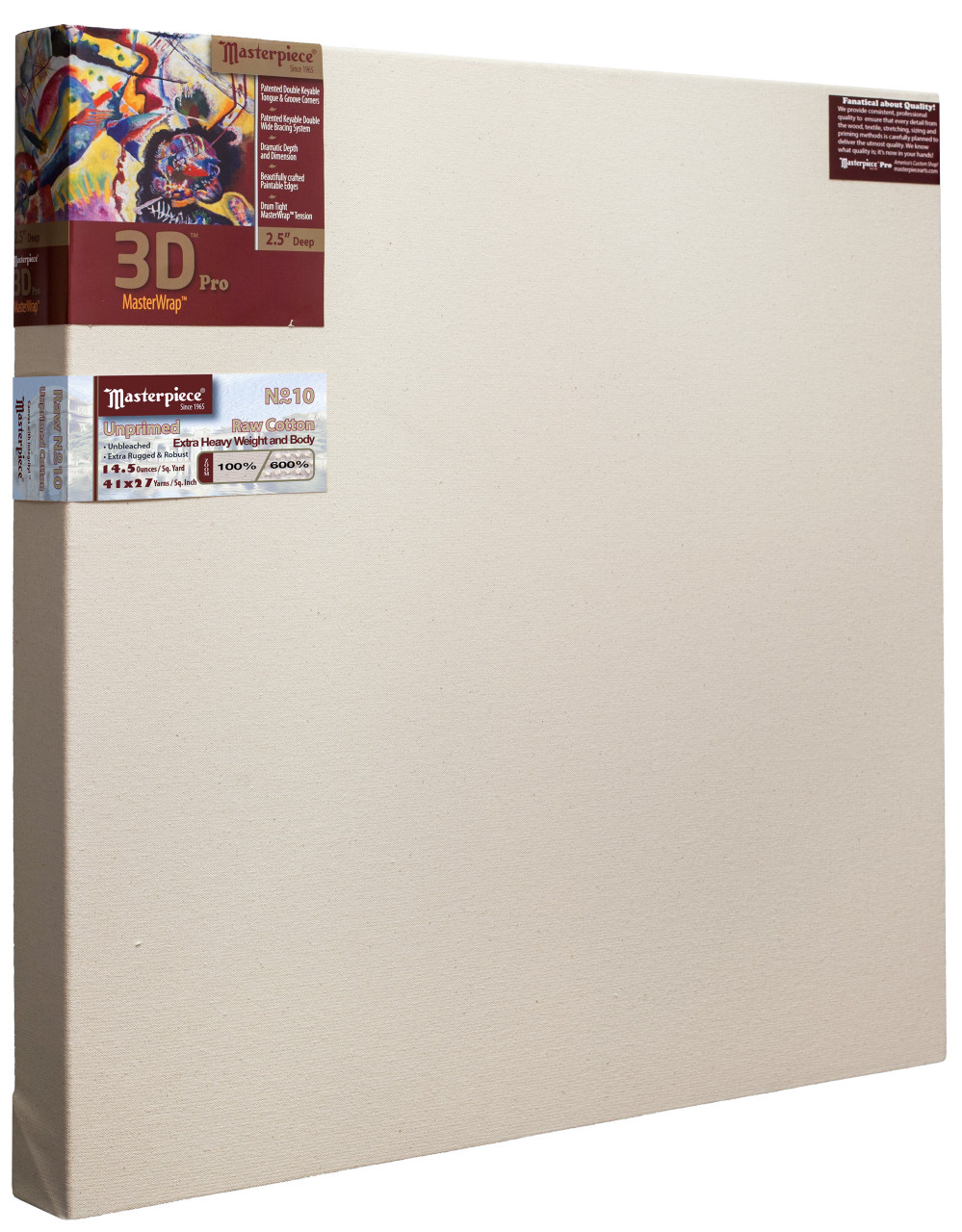 3D Pro 2.5" Deep Artist Canvas 34x59