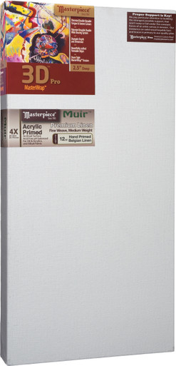 3D Pro 2.5" Deep Artist Canvas 20x24