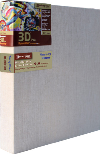 3D Pro 2.5" Deep Artist Canvas 20x25