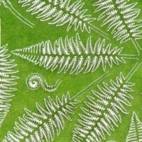 Ak Interactive - Diorama: Fern