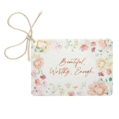 Sponge - Beautiful, Worthy, Enough - [Consumer]Faithworks