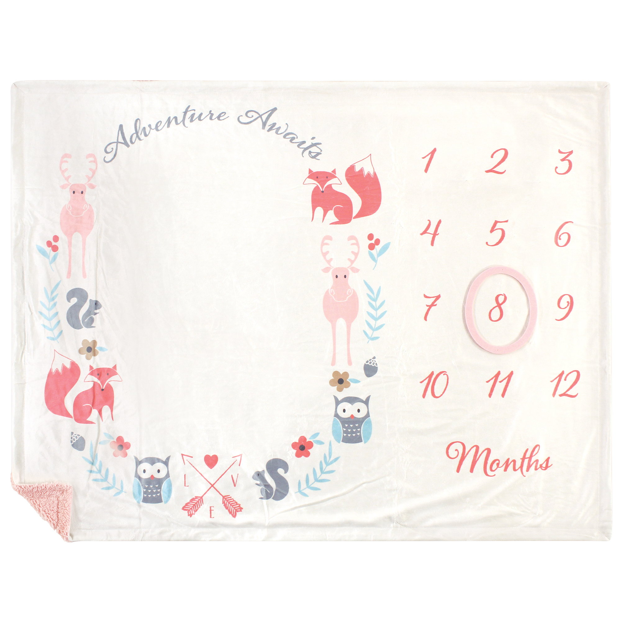 Hudson Baby Plush Holiday and Milestone Blanket, Girl Adventure Awaits ...