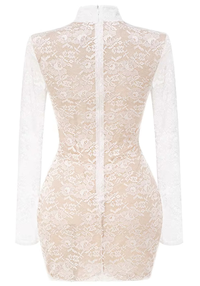 Long Sleeve Structured Lace Dress White - Luxe Lace Dresses and Luxe ...