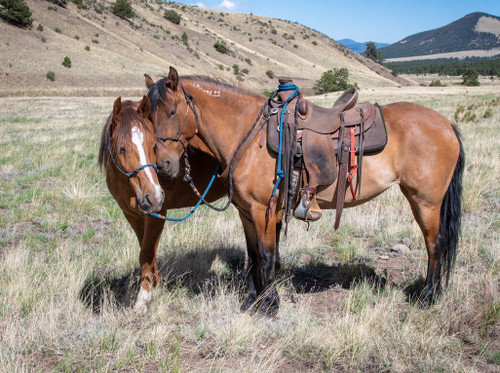 Custom Hand-Tied, Rope Halter's, Lead Ropes, Reins, and more... Rowdy's ...