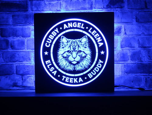 Personalized Cat Lover LED Sign – Custom Pet Light for Cat Owners, Home ...